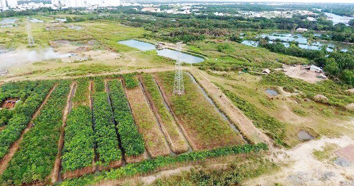 Khởi tố ông Trần Tuấn Hải, Phó tổng Giám đốc Công ty Tân Thuận